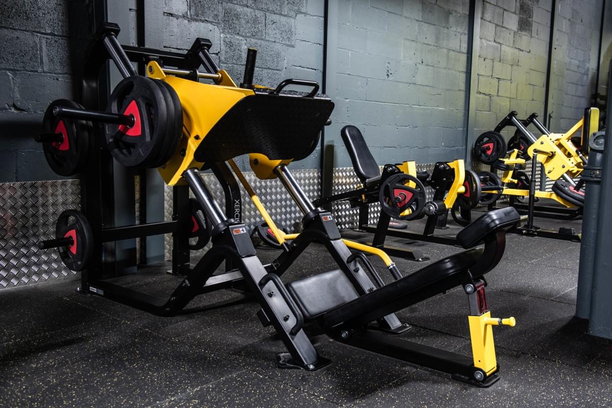 Leg Exercises, Leg Press, Quadriceps