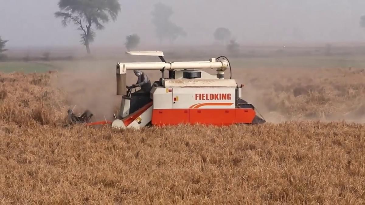 combine harvester process