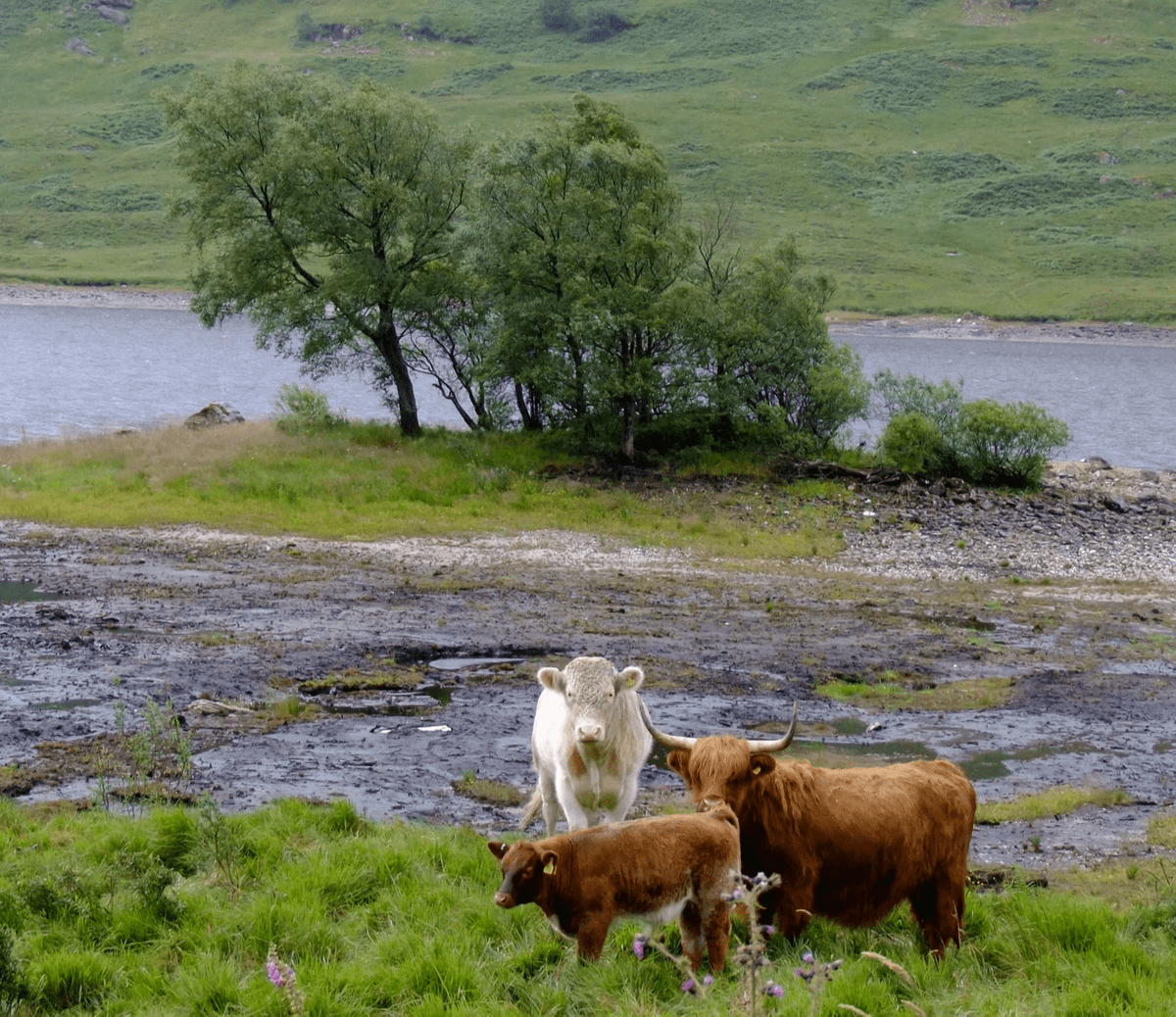Ruth Dalton Farming and Wildlife