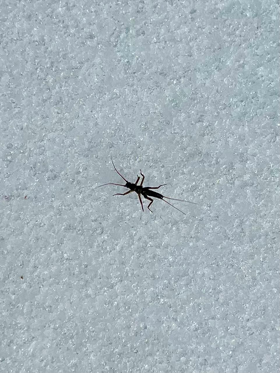 Spring is approaching in Michigan's Upper Peninsula