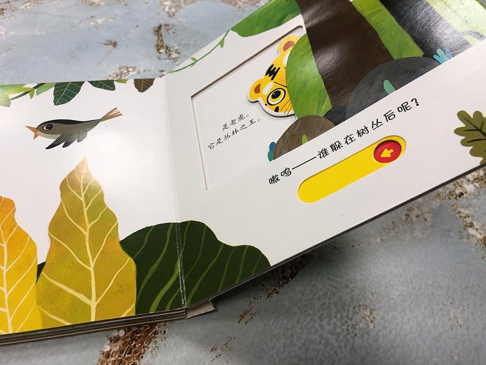 A Push, Pull & Side Board Book, You just find the Right...
