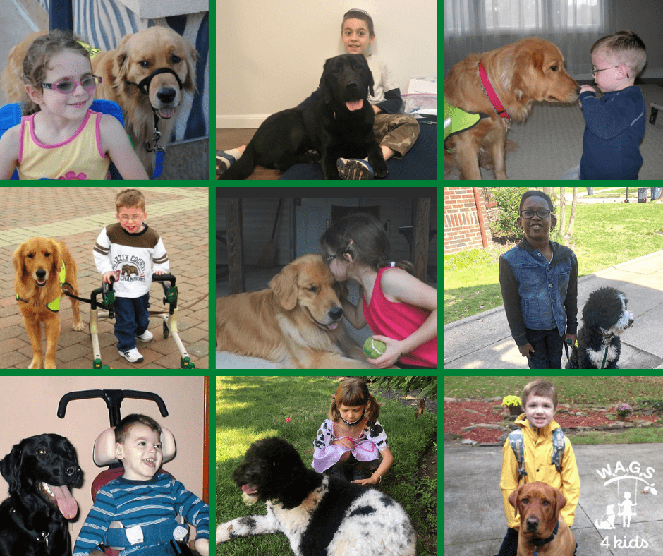Celebrating National Service Dog Month - Service Dogs E...