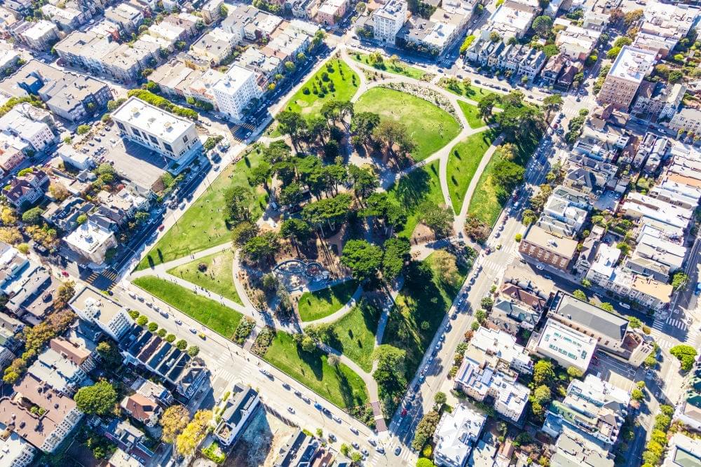 Alamo Square Reforestation Update - Park Preservation A...