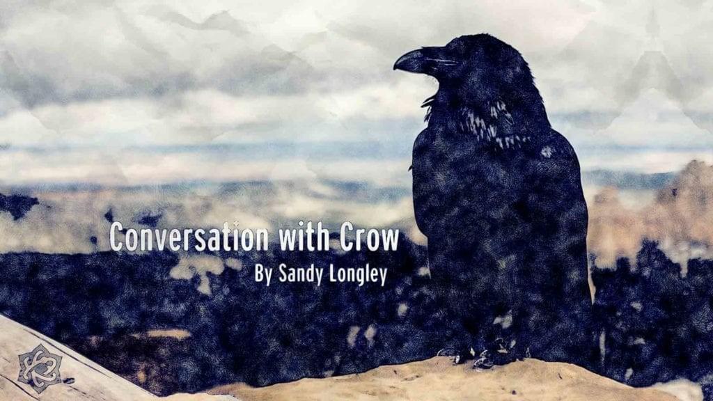 Conversation with Crow | Sandy Longley - POEM PRIZE