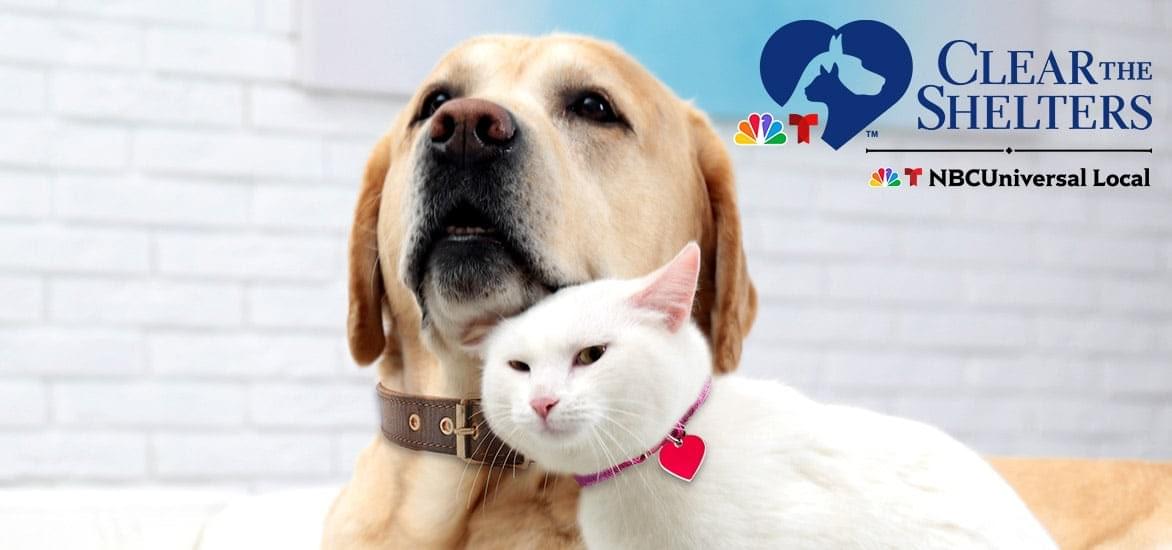 Clear the Shelters 2023