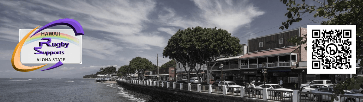 Supporting the victims of the Maui Fires - maui fire su...