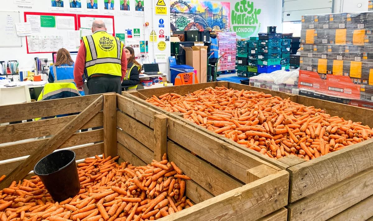 Zero-Waste Carrot Recipes - Planet Sustainability Recip...