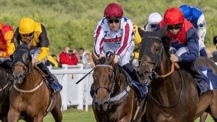 Lisa Williamson Racing