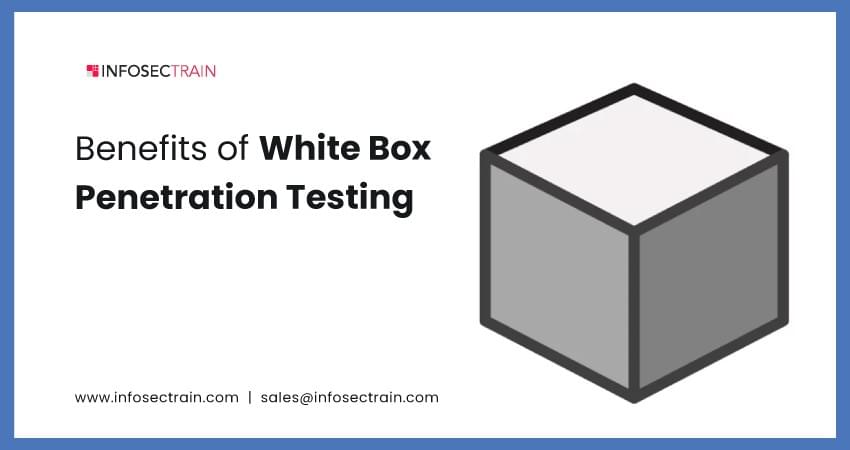 Benefits of White Box Penetration Testing