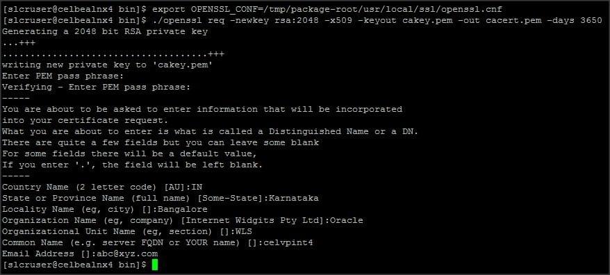 Openssl Generate Key And Self Signed Certificate