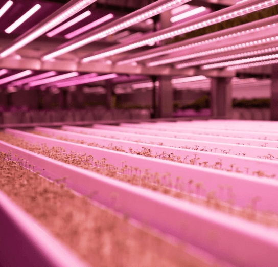 Growy | Next-Level Farm