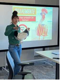 Why Cause Stress and Pain to Chickens when we can Prevent it? - Kipster