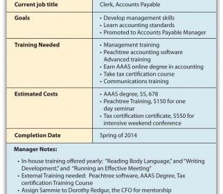 Career Aspirations Examples For Software Development
