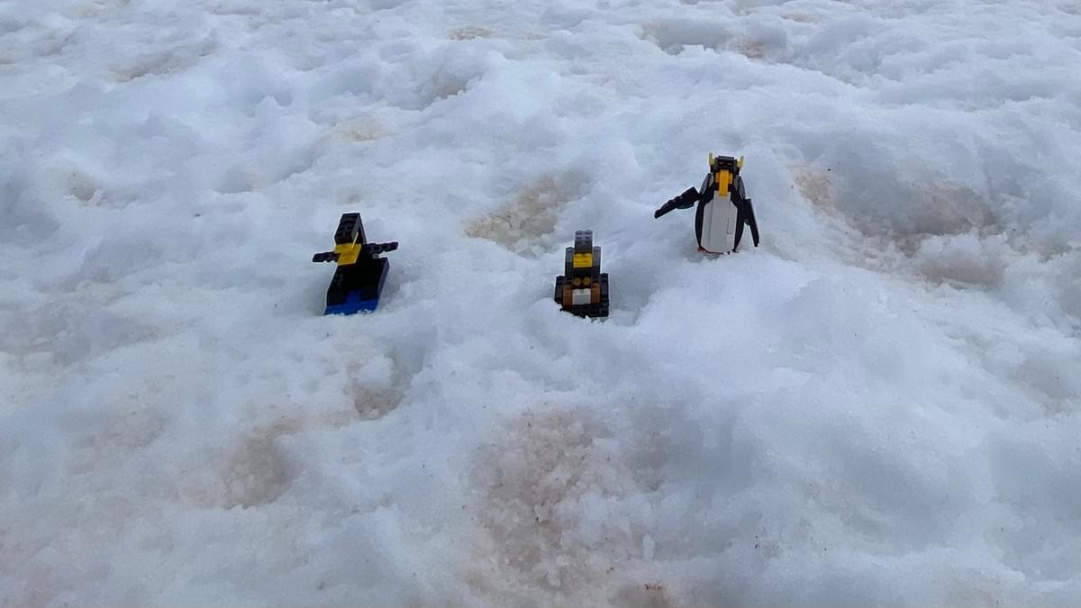 Lego Penguins -- Antarctica Bound - Antarctica penguins...