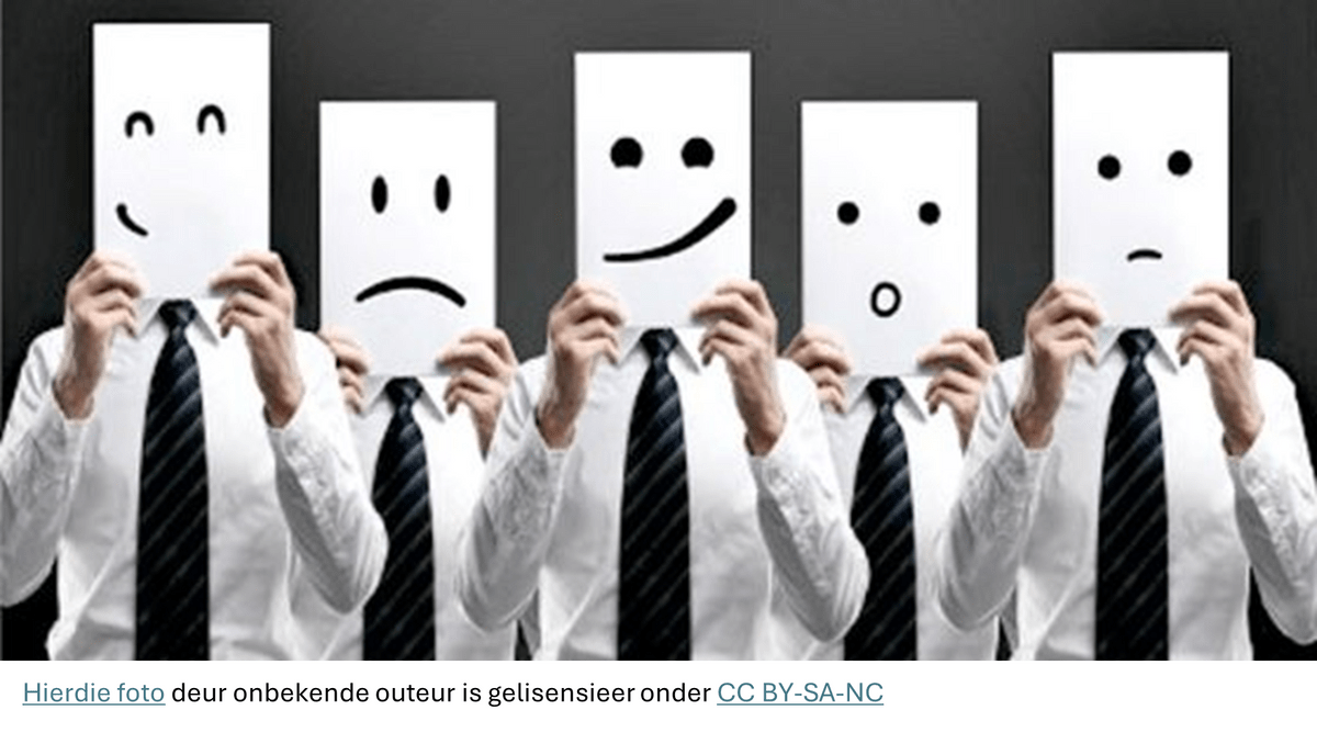 Emosionele reguleringsvaardighede in dialektiese gedrag...