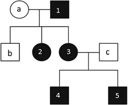 Family of Origin - coping tools psychology family thera...