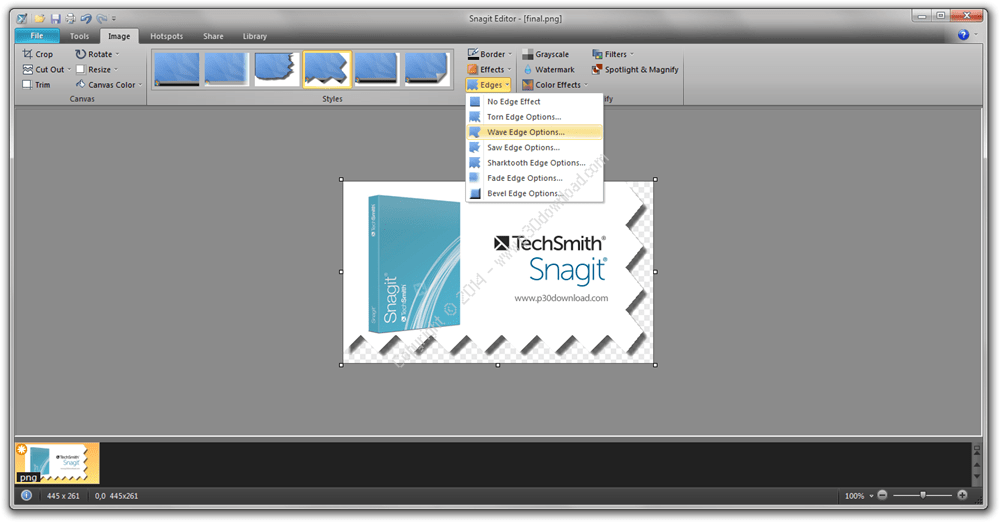 ⚡ CRACK TechSmith SnagIt 9 - Full With Key ~ Team ZOiT