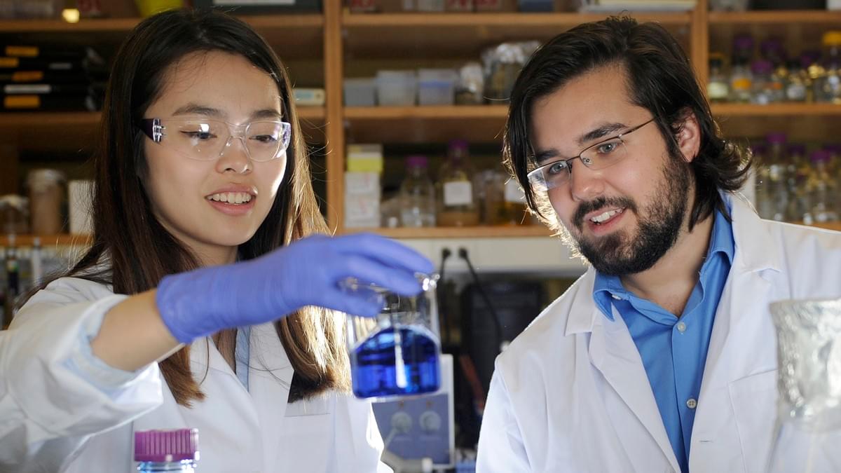 Hannah Tam and Julian Stanley receive Northeastern's Pr...