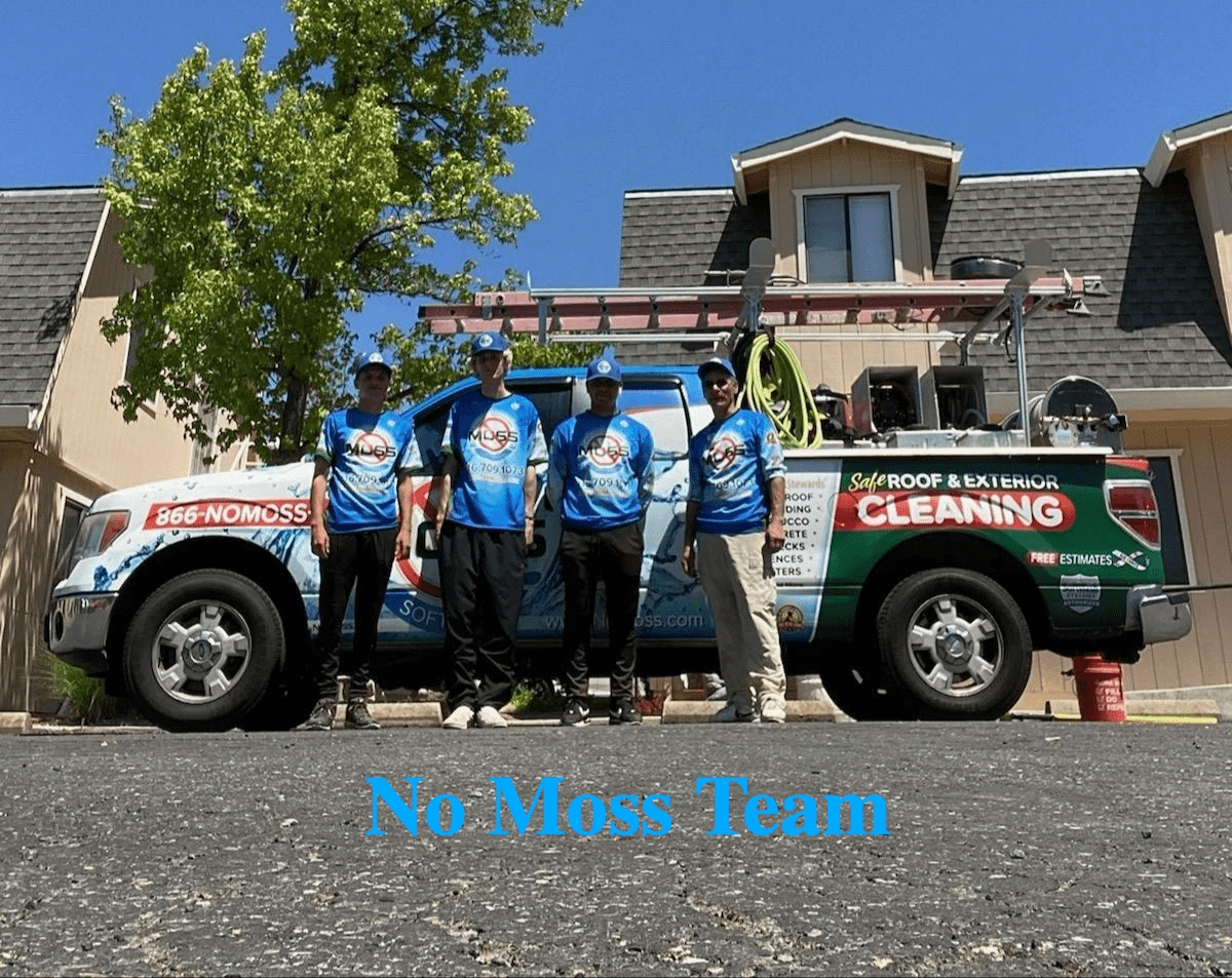 Exciting News Coming! - No Moss Team No Moss Soss no mo...