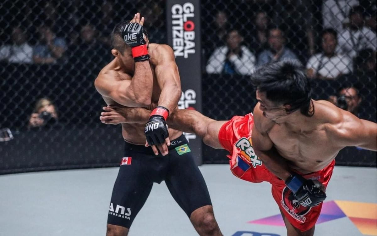 back kick kickboxing