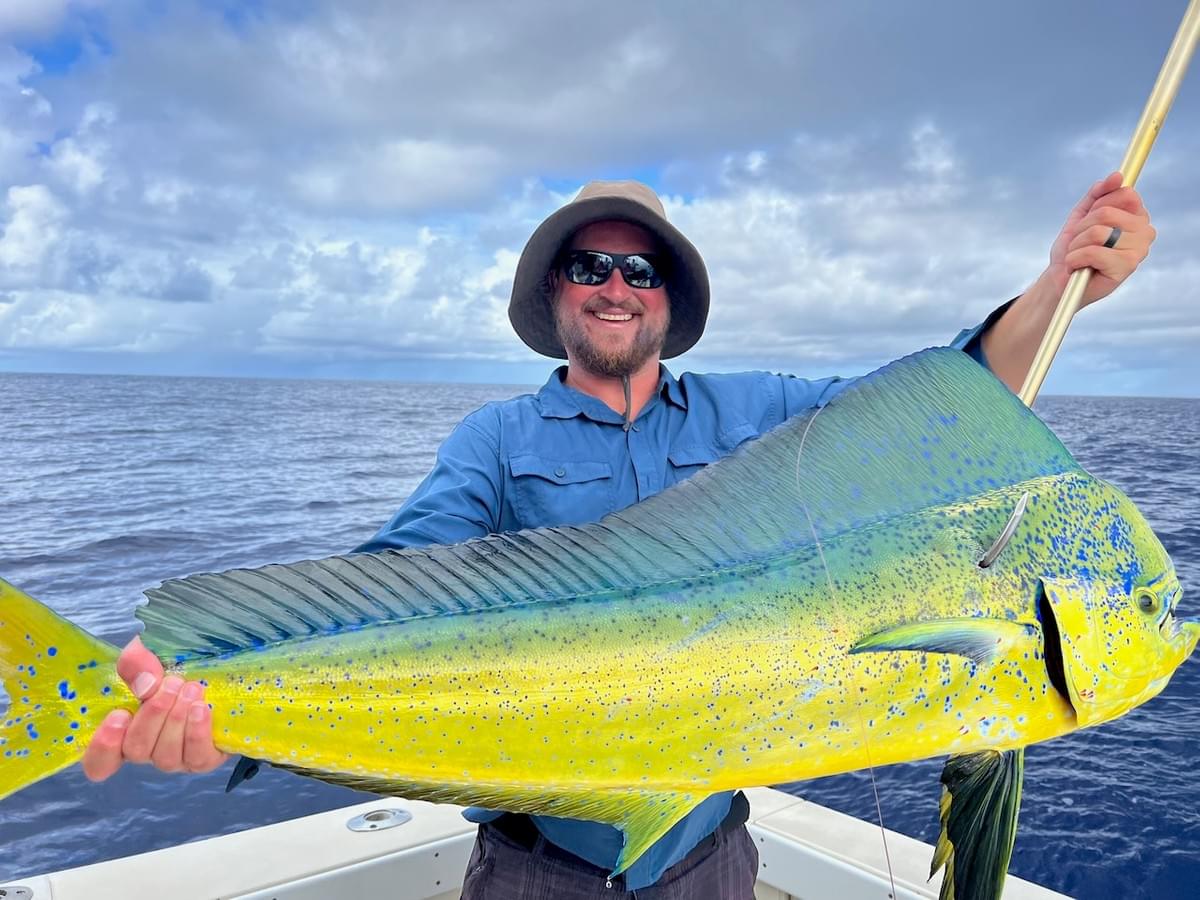 Blue Water Maui - Group and Private Snorkel, SCUBA, Whale Watch and ...