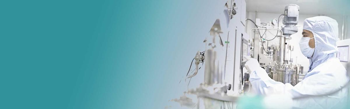 Small-Scale GMP Plasmid Production Using a Simplified M...