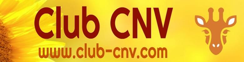 CELEBRATION DU WEBINAIRE DU CLUB CNV SUR L'INTENTION