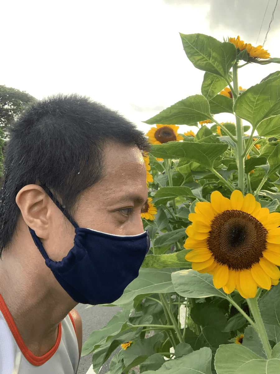 UP Diliman: Sunflower Season - Running Destinations Str...