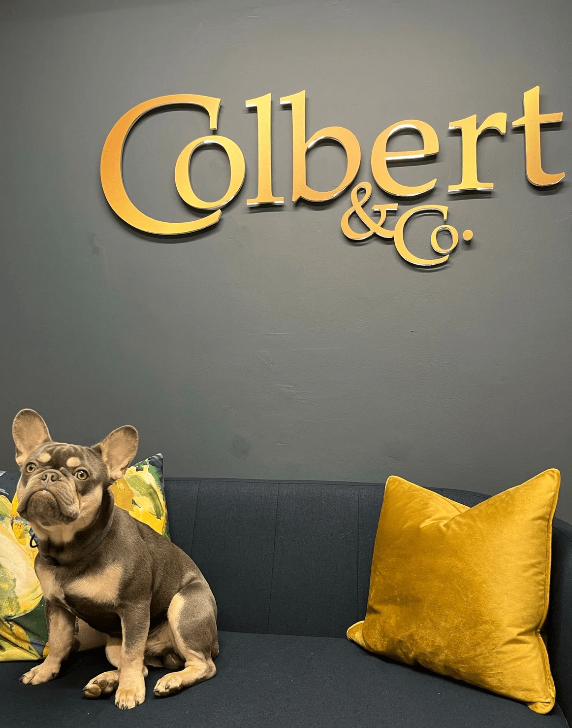Colbert & Co Estate Agents: Midleton, Co. Cork - Residential ...