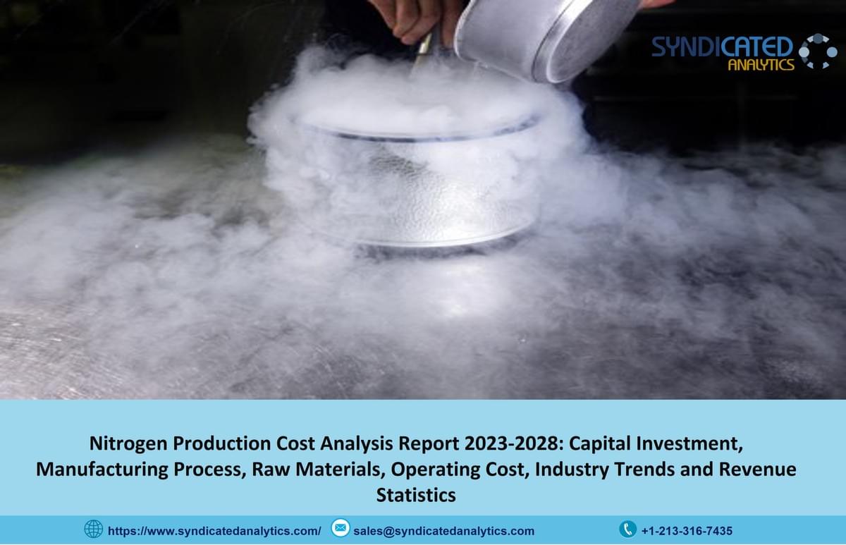 Nitrogen Production Cost Report 2023: Plant Cost, Raw ...