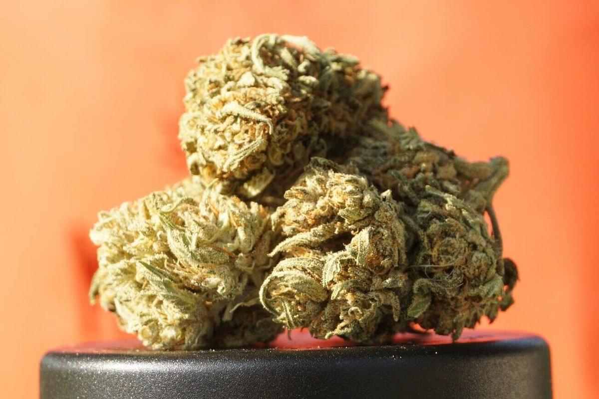 8 Benefits of Smoking CBD Hemp Flowers