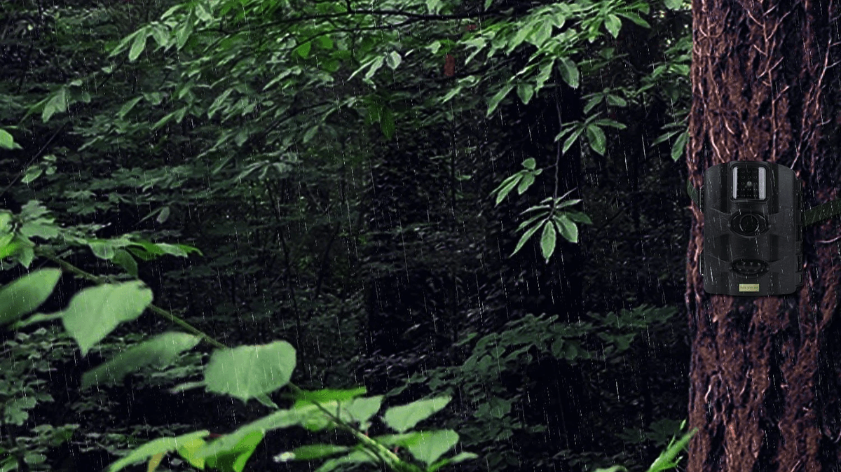 Does a Hunting Camera Always Need Camouflage? - Guides ...