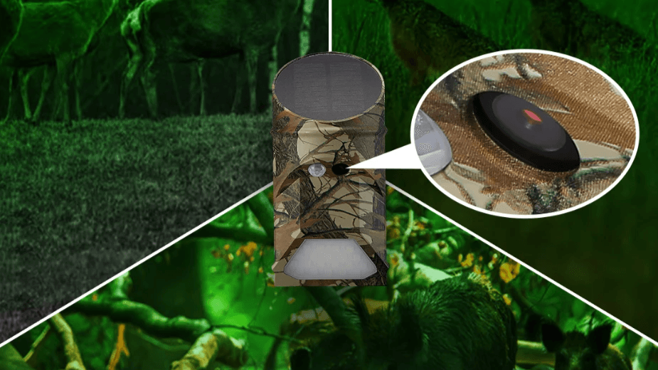 Master Night Hunting: How Deer Feeder Hog Lights Revolu...