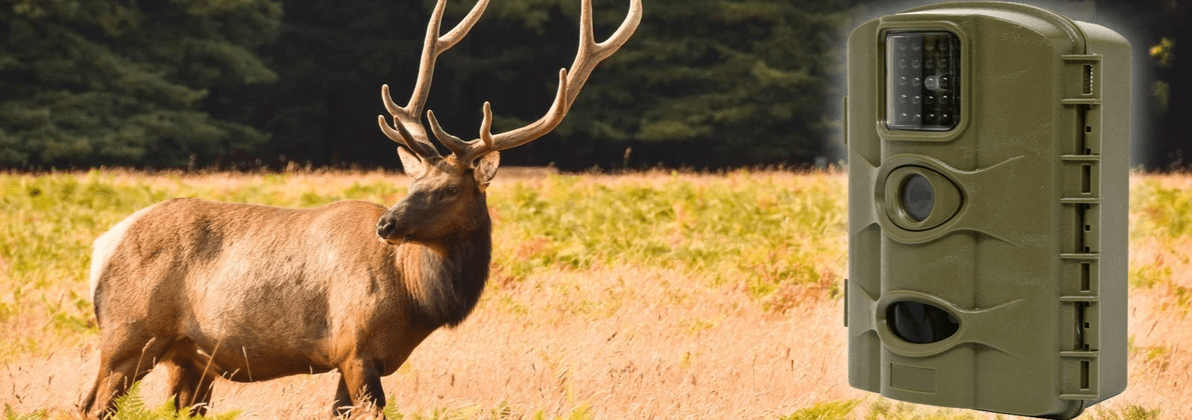 The Advantages of Custom Infrared Hunting Cameras for I...