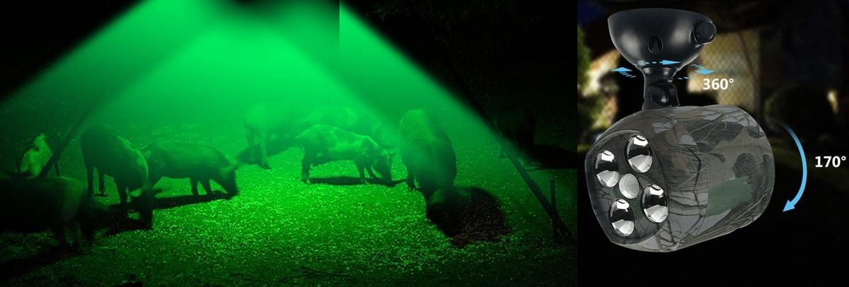 Feeder Hog Lights For Night Hunting - Custom Outdoor El...