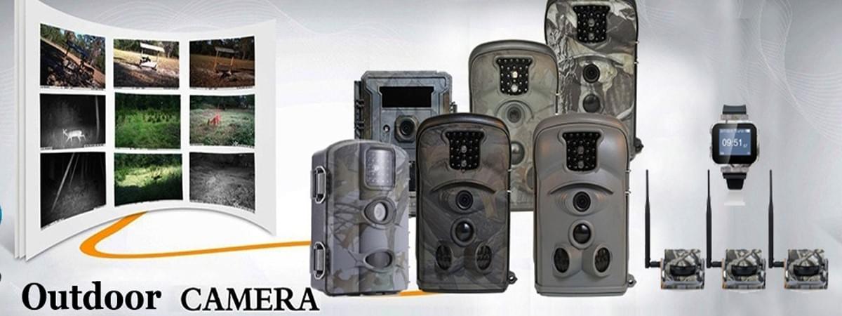 Custom Cold-Blooded Animal Monitoring Cameras: A Succes...