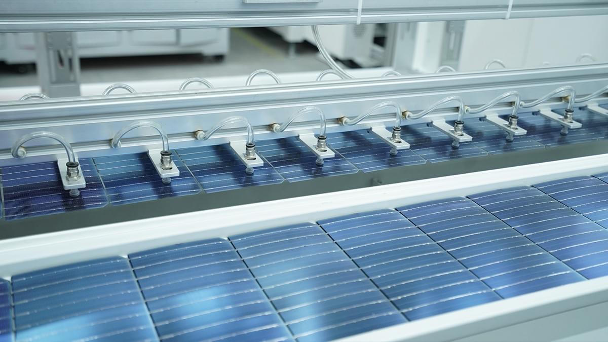 Produttore professionale di moduli fotovoltaici distribuiti| Maysun Solar