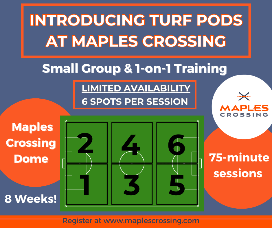 THE DOME - Maples Crossing