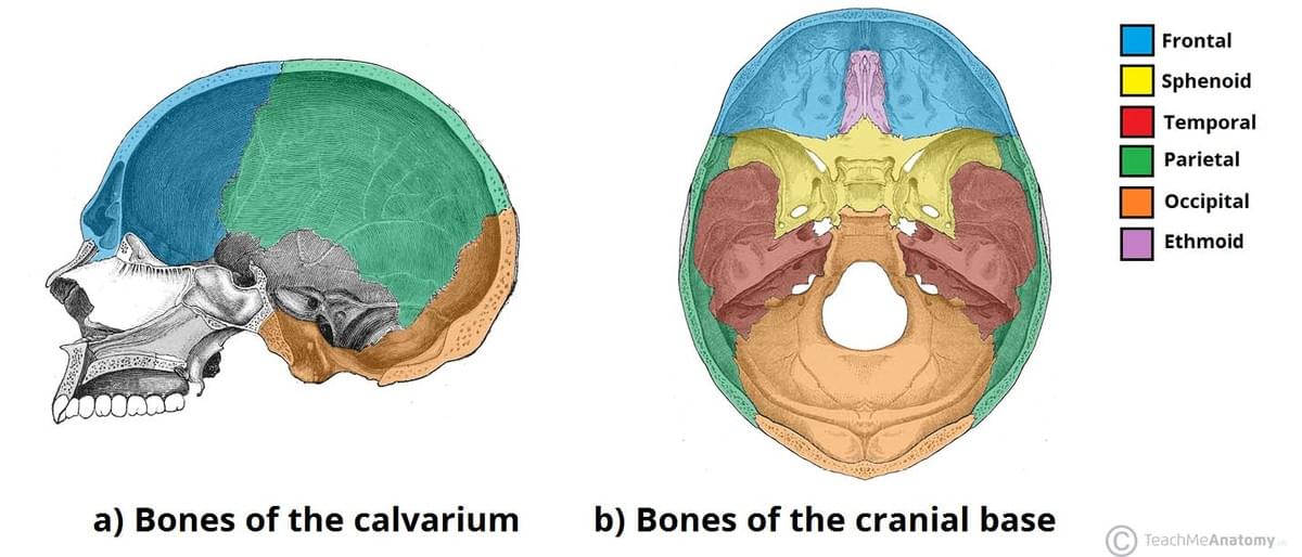 Biomechanics Behind Skull Trauma