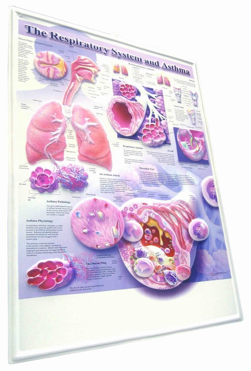 creative products ltd