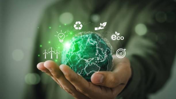 Powering the Future: How Nengfu Electrical is Capitaliz...