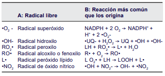 Estrés oxidativo, neurodegeneración y el balance Redox