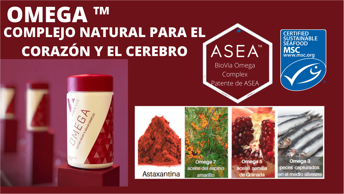 RAZONES PARA CONSUMIR ÁCIDOS GRASOS ASEA VIA OMEGA.