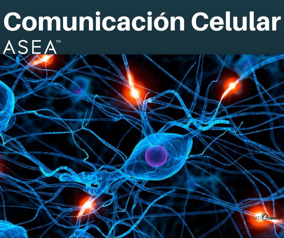 Optima Comunicación Celular