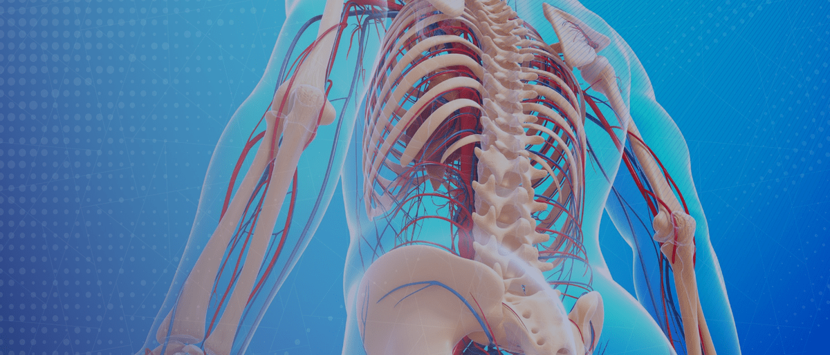 Neural Flow: What It Is And Why It Matters - Nerve Flow...