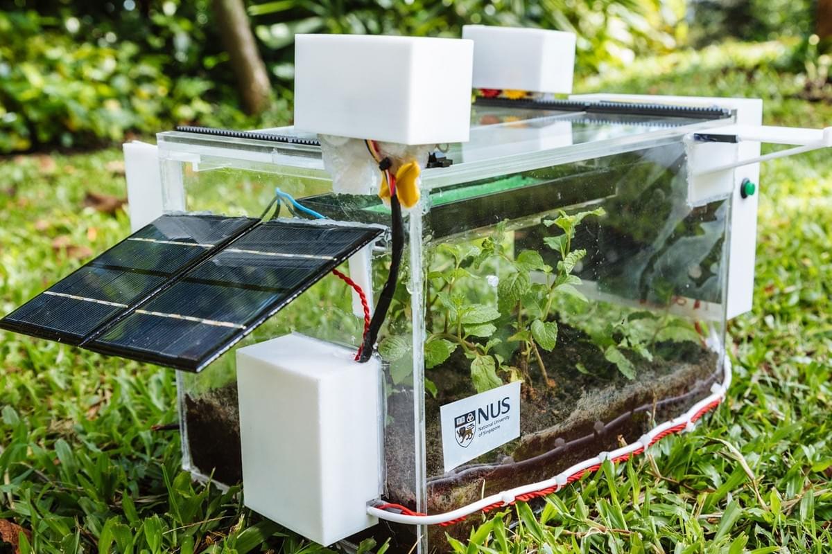 The Green Revolution: Permaculture and Self-Farming Kit...