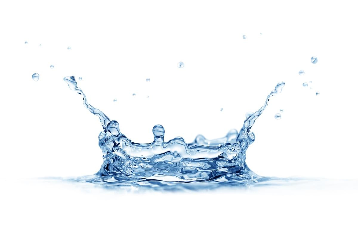 Understanding Your Fluid Personality Type