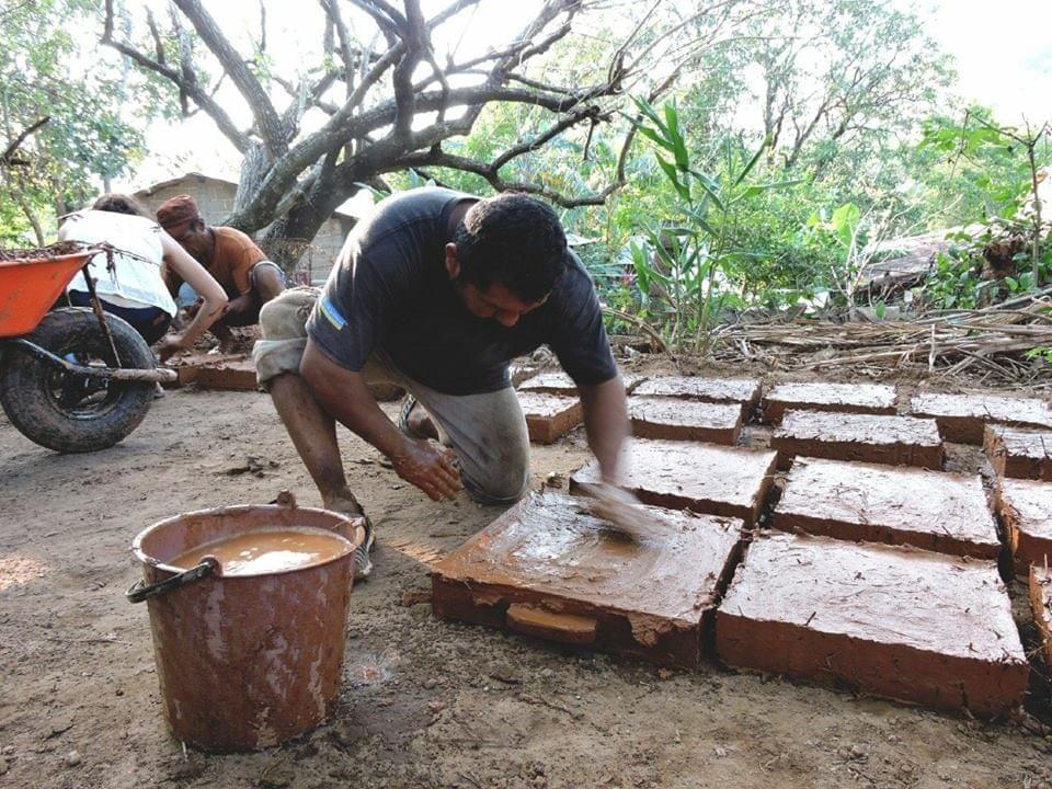 Après le séisme, la bio-reconstruction - éco-conception
