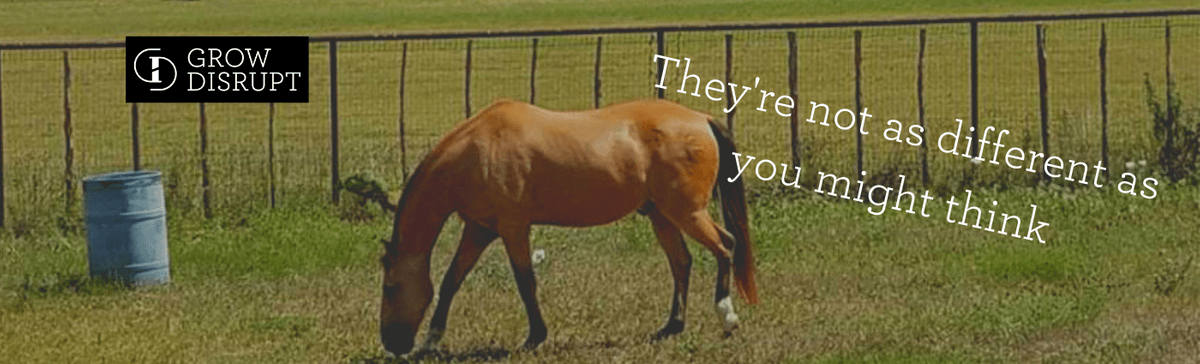 Managing People & Training Animals - Management Small B...