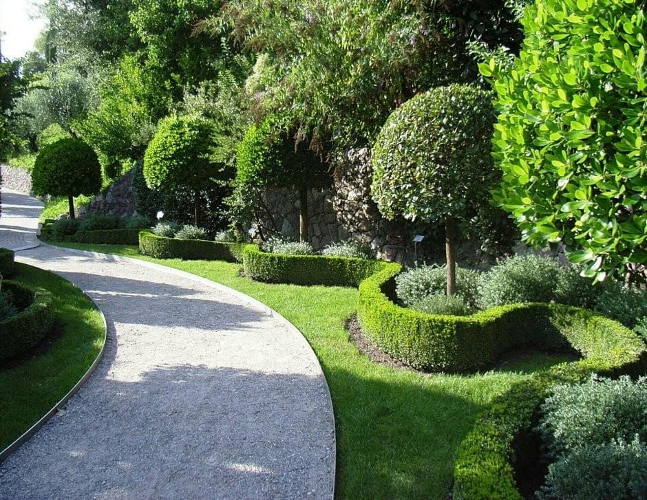 Landscape Design Basics - Forms in Landscapes